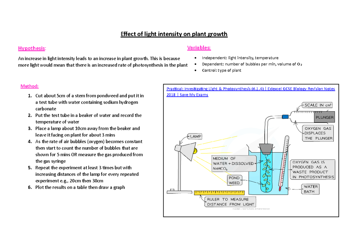 Investigating Factors Affecting Plant Growth: Light & Water Intensity ...