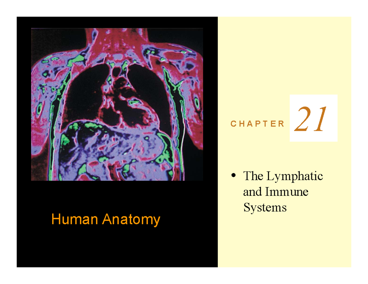 Lecture Ch. 21 - The Lymphatic And Immune System - C H A P T E R ...