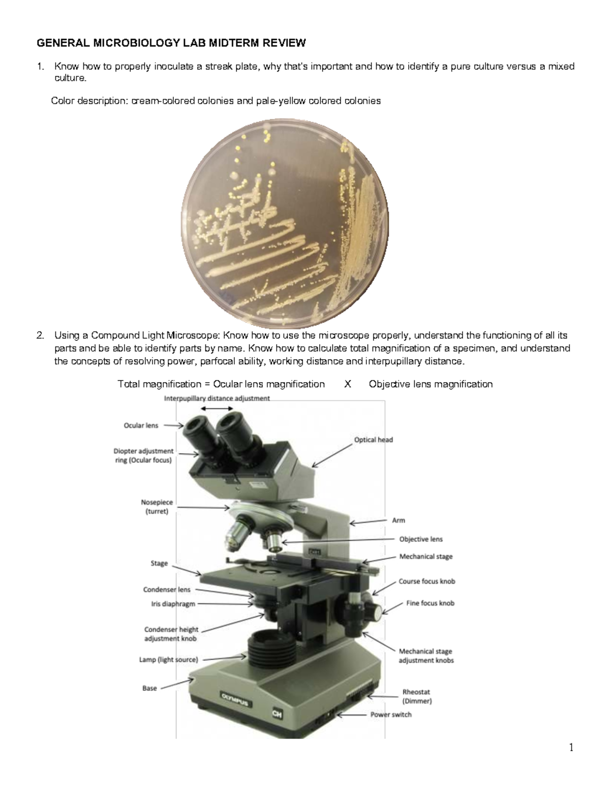 General Microbiology Lab Midterm Review (BIO 101) - Fall 2025 - Studocu