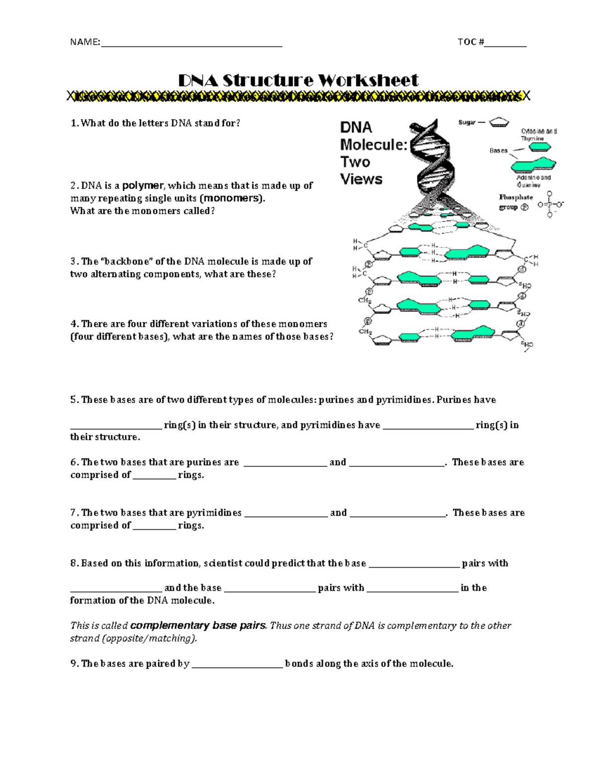 14 - DNA Structure Worksheet - NAME ...