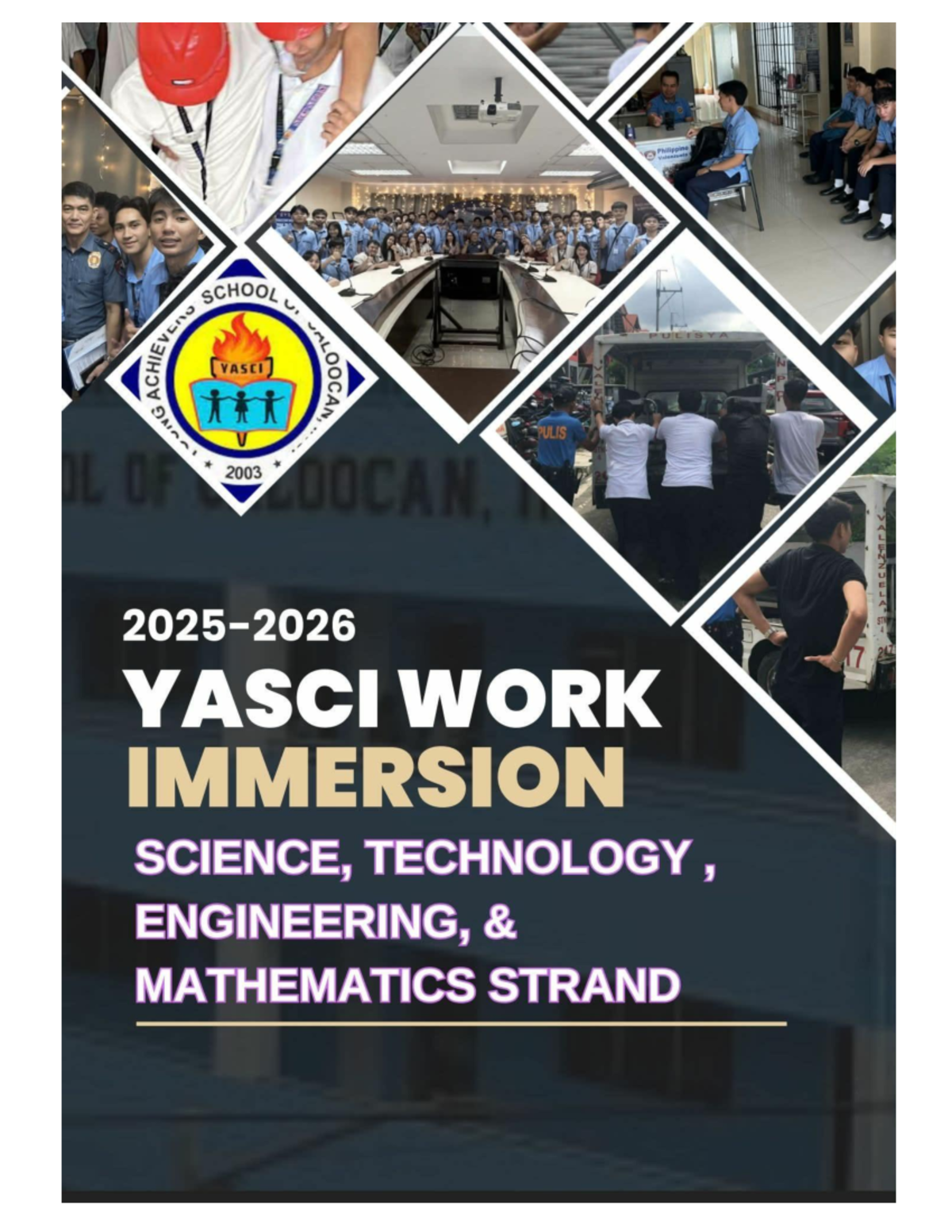 Grade 12 STEM Work Immersion Portfolio: Reflections and Insights - Studocu