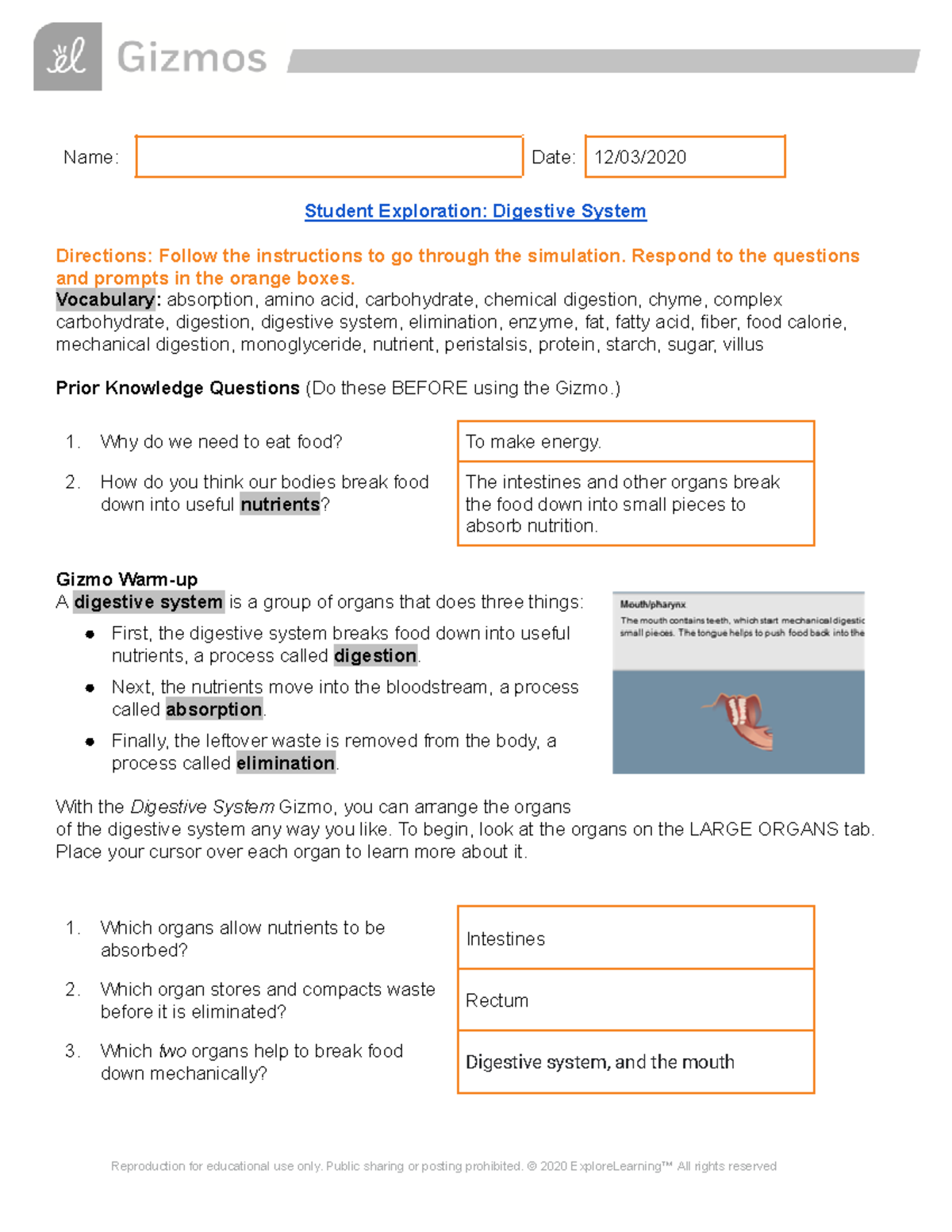 Digestive System Exploration: Gizmo Simulation Activity (Bio 101) - Studocu