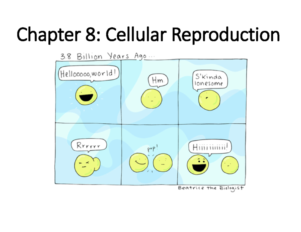 Chapter 8: The Comprehensive Study of Cellular Reproduction and Mitosis ...