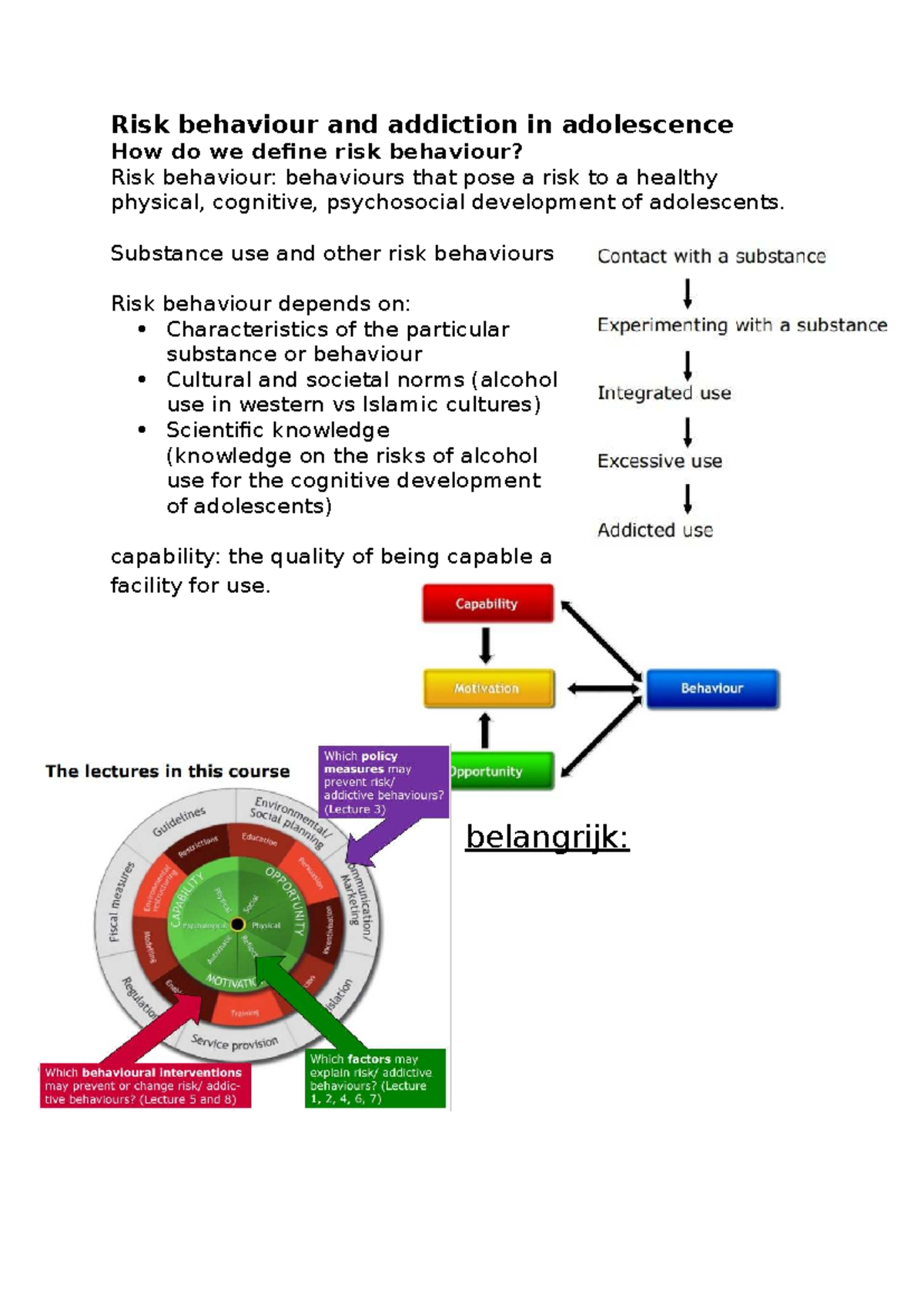 Risk Behavior and Addiction in Adolescence: Understanding Influences ...