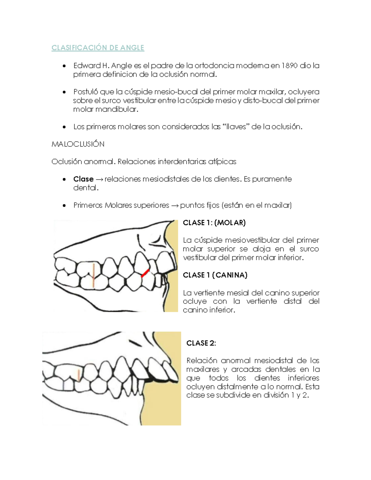 Oclusión y Clasificación de Angle: Clase UAC de Ortodoncia - Studocu