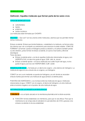 [Solved] Funcion de la enzima ADN girasa - Biologia (1100) - Studocu