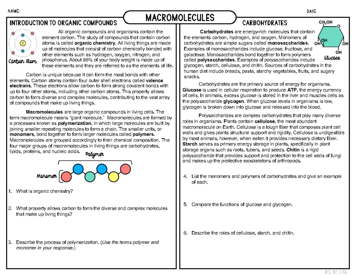 Macromolecules in Organic Chemistry: Structure, Function, and Types ...