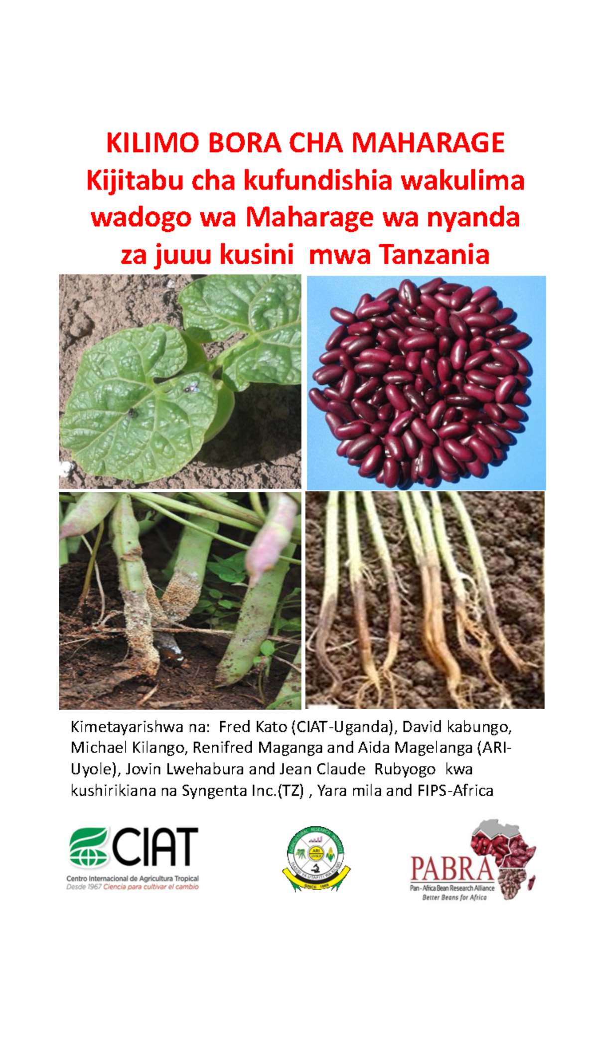 Kilimo Bora cha maharage - KILIMO BORA CHA MAHARAGE Kijitabu cha ...