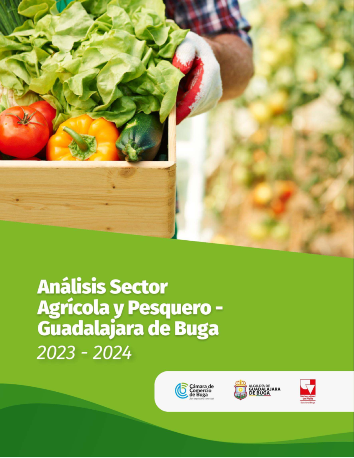 Análisis del Sector Agrícola y Pesquero en Buga 2024 (OEEB) - Studocu