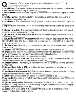 A&P 2 Exam 1 Practice Questions Answers - Name ...