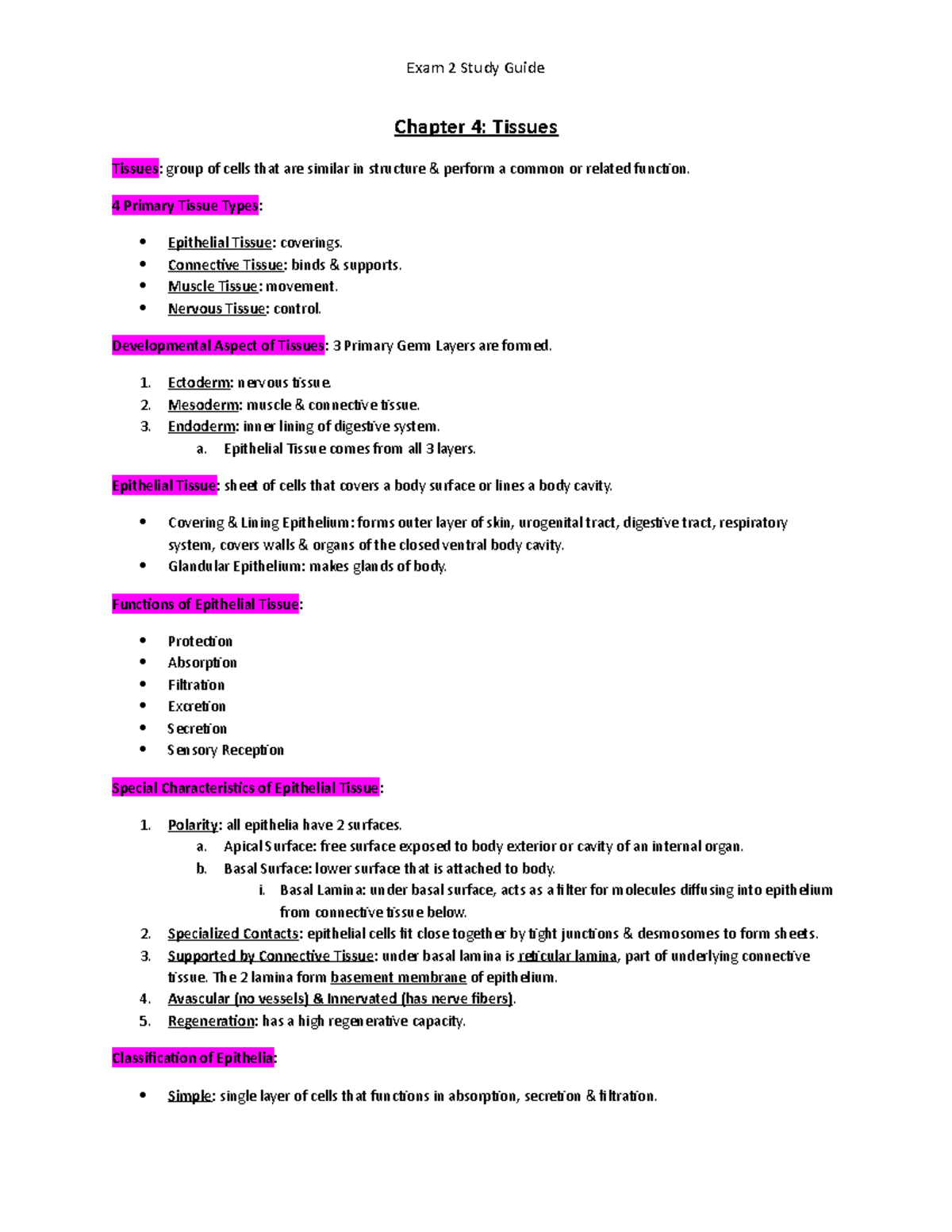 Exam 2 Study Guide - Exam 2 Study Guide Chapter 4: Tissues Tissues ...
