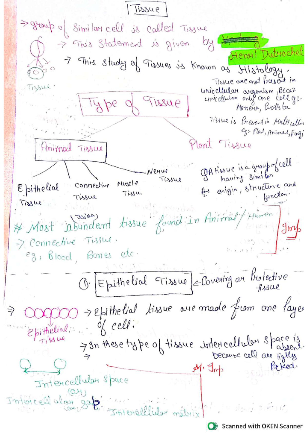 NDA biology topic tissue with Dpp. pdf compressed - Tissue group of ...