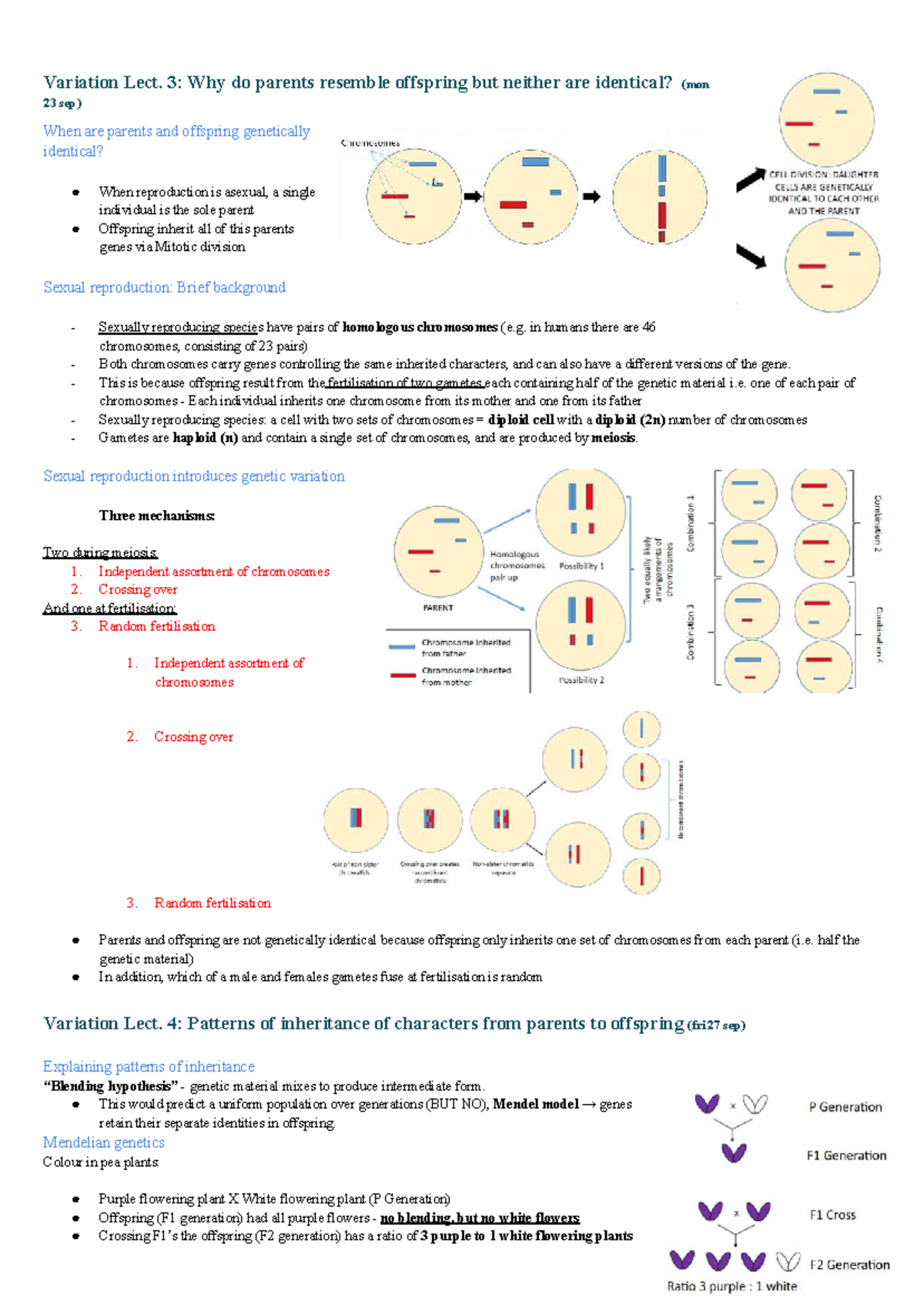 Variation Notes: Understanding Genetic Resemblance and Inheritance ...