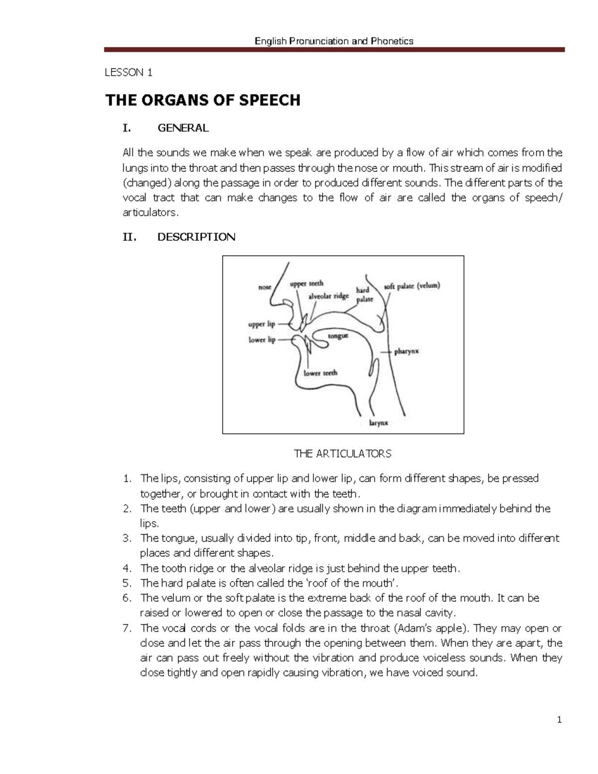 English Pronunciation and Phonetics LESSON 1: Organs of Speech and Articulation - Studocu