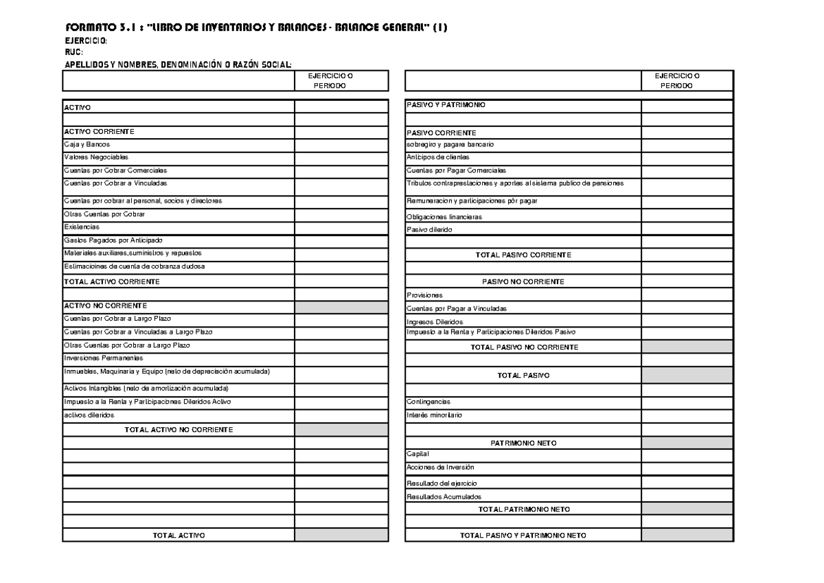Balance general format 3.1 - FORMATO 3 : "LIBRO DE INVENTARIOS Y ...