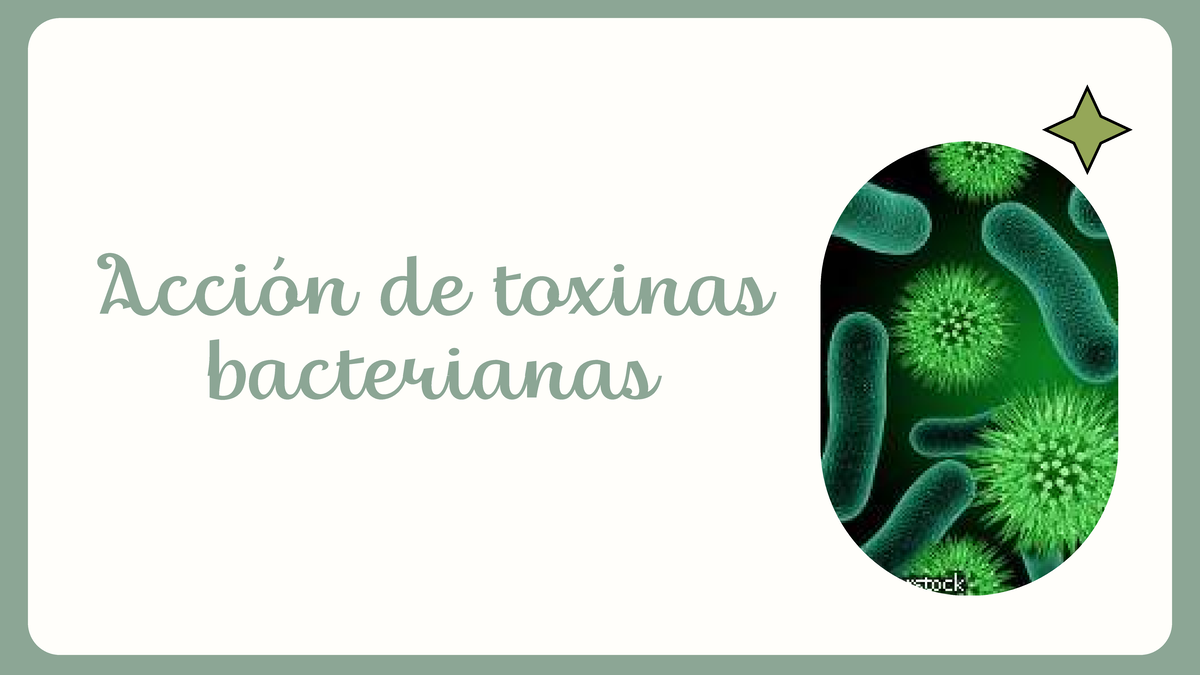 Accion de las Toxinas Bacterianas - Acción de toxinas bacterianas ...