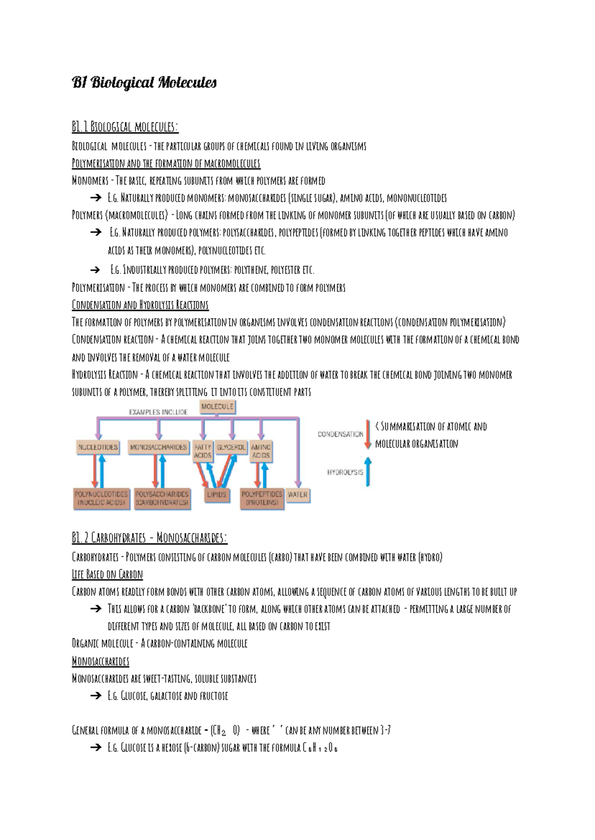 Biology A-Level Notes Biological Molecules - B1 Biologica Molecule B1 ...