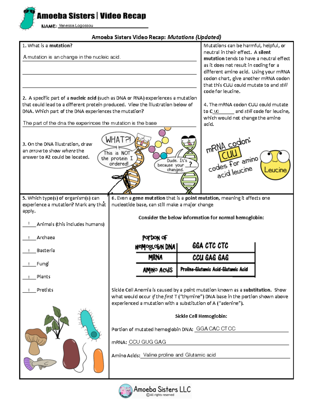 Amoeba Sisters Mutations (Updated) Worksheet - Amoeba Sisters Video ...