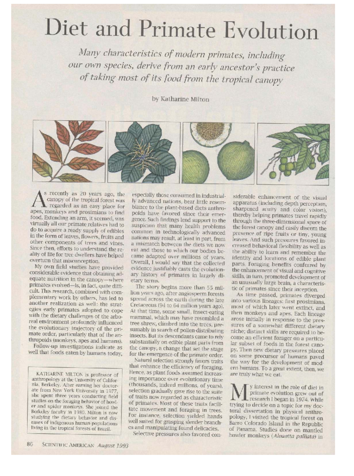 Diet and Primate Evolution: Analyzing Dietary Adaptations Over Time ...