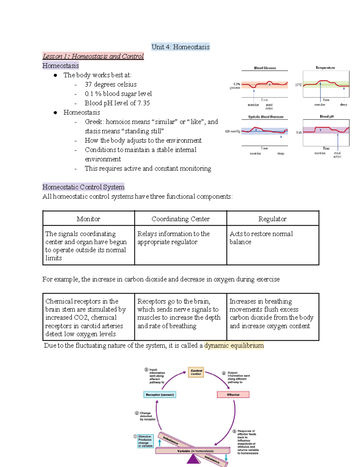 Homeostasis Unit 4 Review: Key Concepts and Mechanisms Explained - Studocu