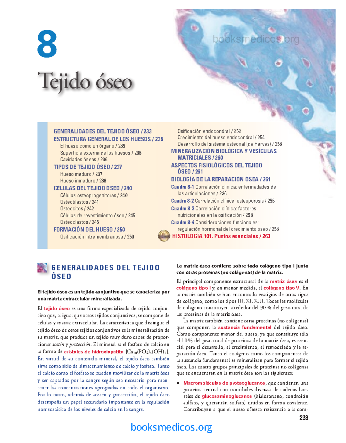 Histo de Ross: Tejido Óseo y Su Estructura (CH008) - Studocu