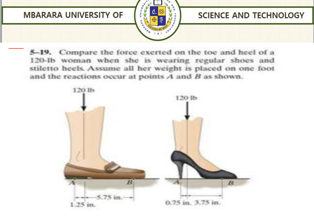 Structural Analysis: Internal Forces in Trusses and Frames (ENG ...