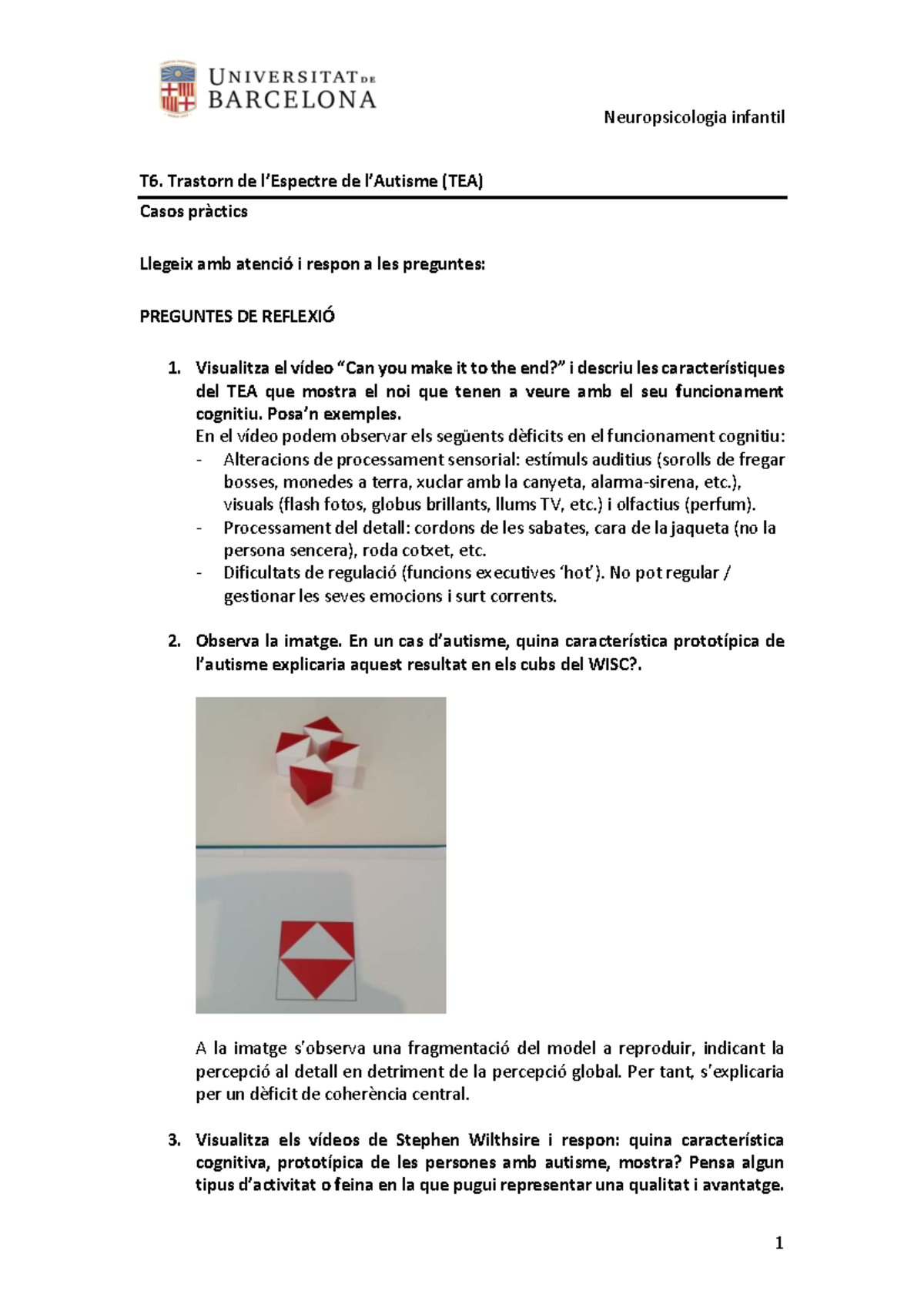 Cas Pràctic T6: Característiques Cognitives del TEA - Studocu
