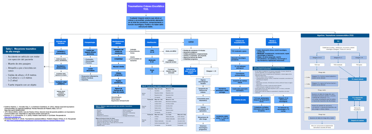 Mapa Conceptual sobre Traumatismo Cráneo Encefálico (TCE) en Pediatría ...