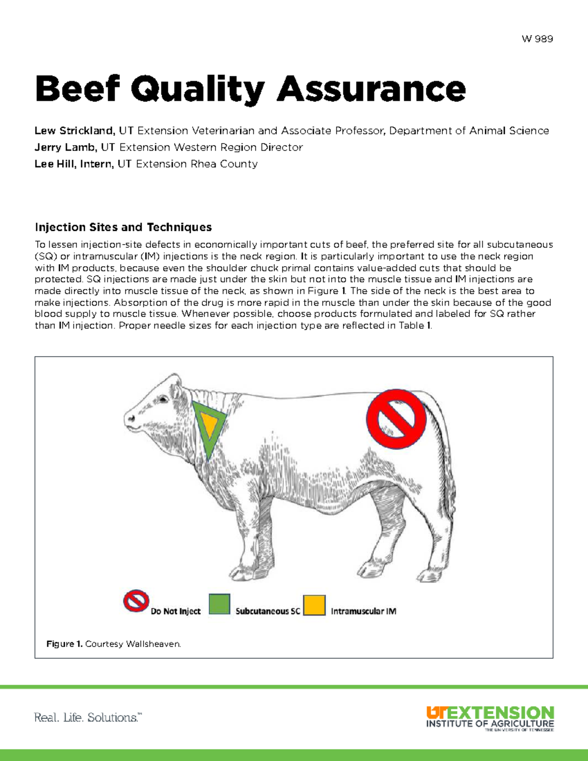 W 989 Beef Cattle Injections: Best Practices for Quality Assurance ...