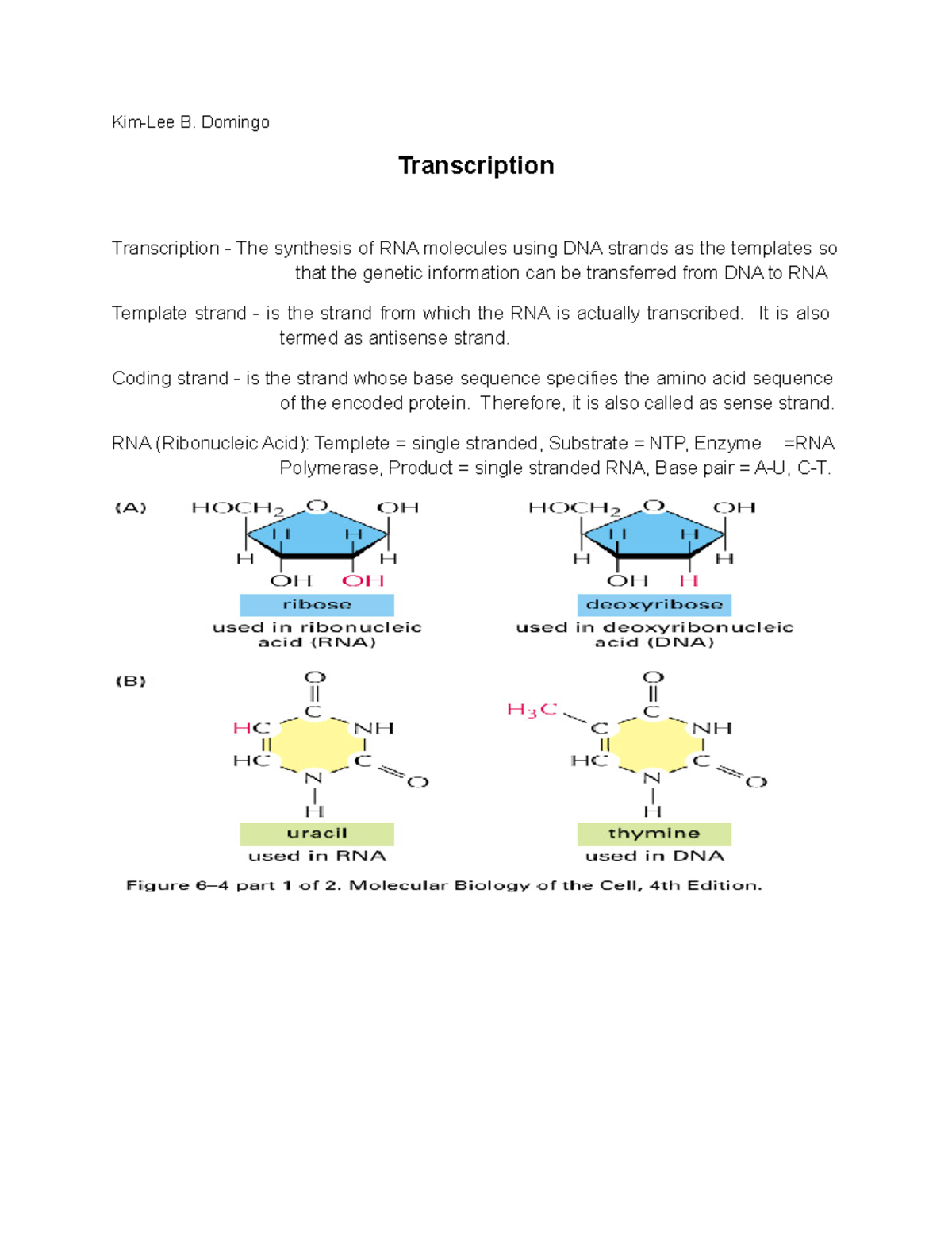 DNA Transcription notes - Kim-Lee B. Domingo Transcription ...