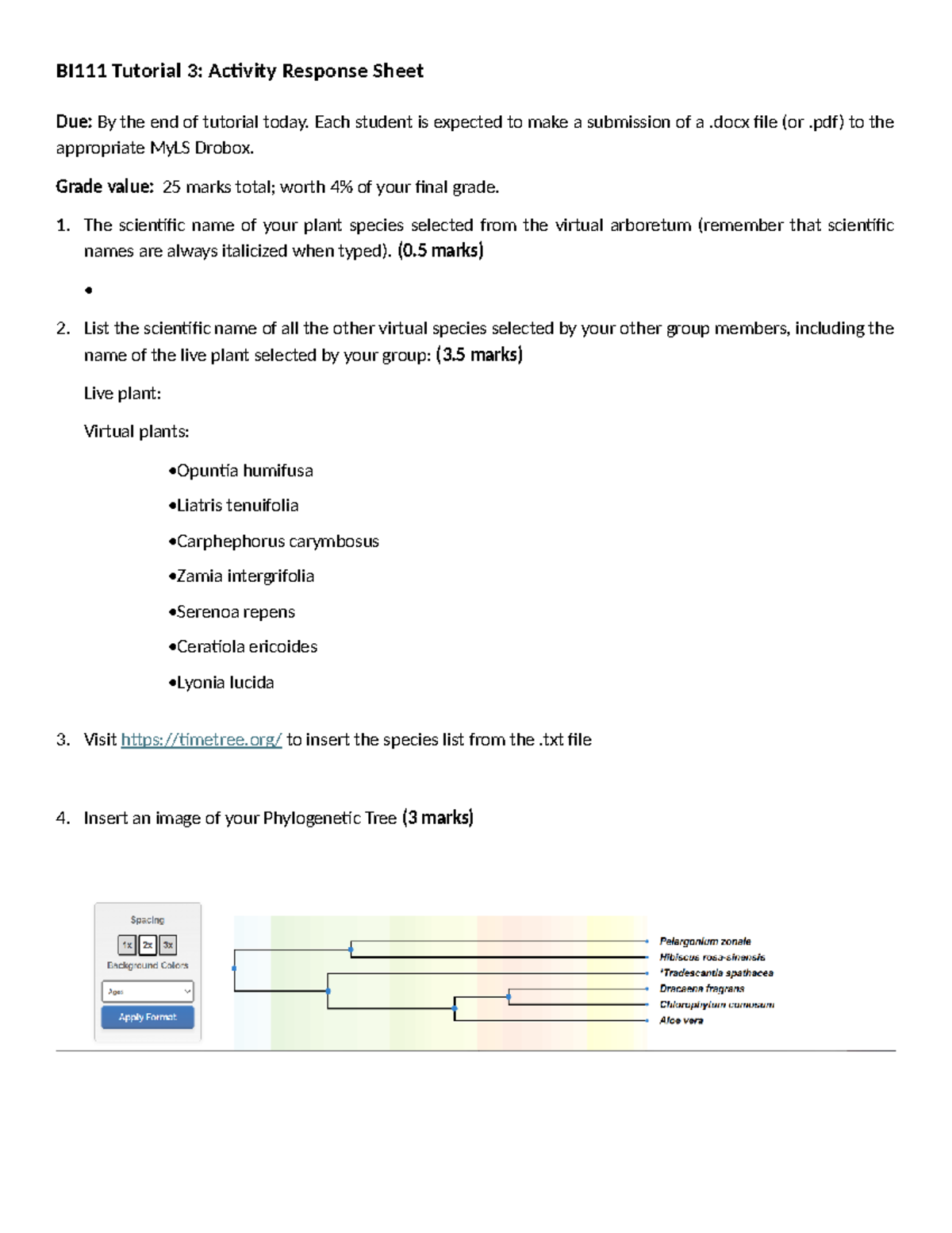 Tutorial 3: Activity Response Sheet for Plant Morphology Analysis - Studocu