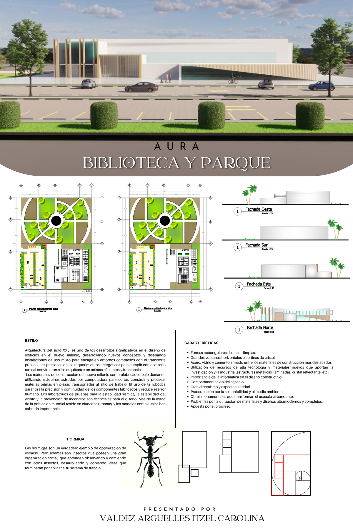 Lamina general Biblioteca - A U R A HORMIGA Las hormigas son un verdadero ejemplo de ...