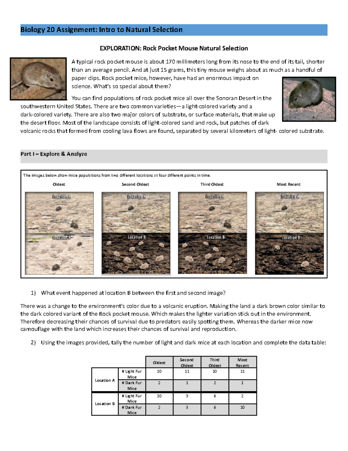 Biology 20: Rock Pocket Mouse Natural Selection Lab Report - Studocu