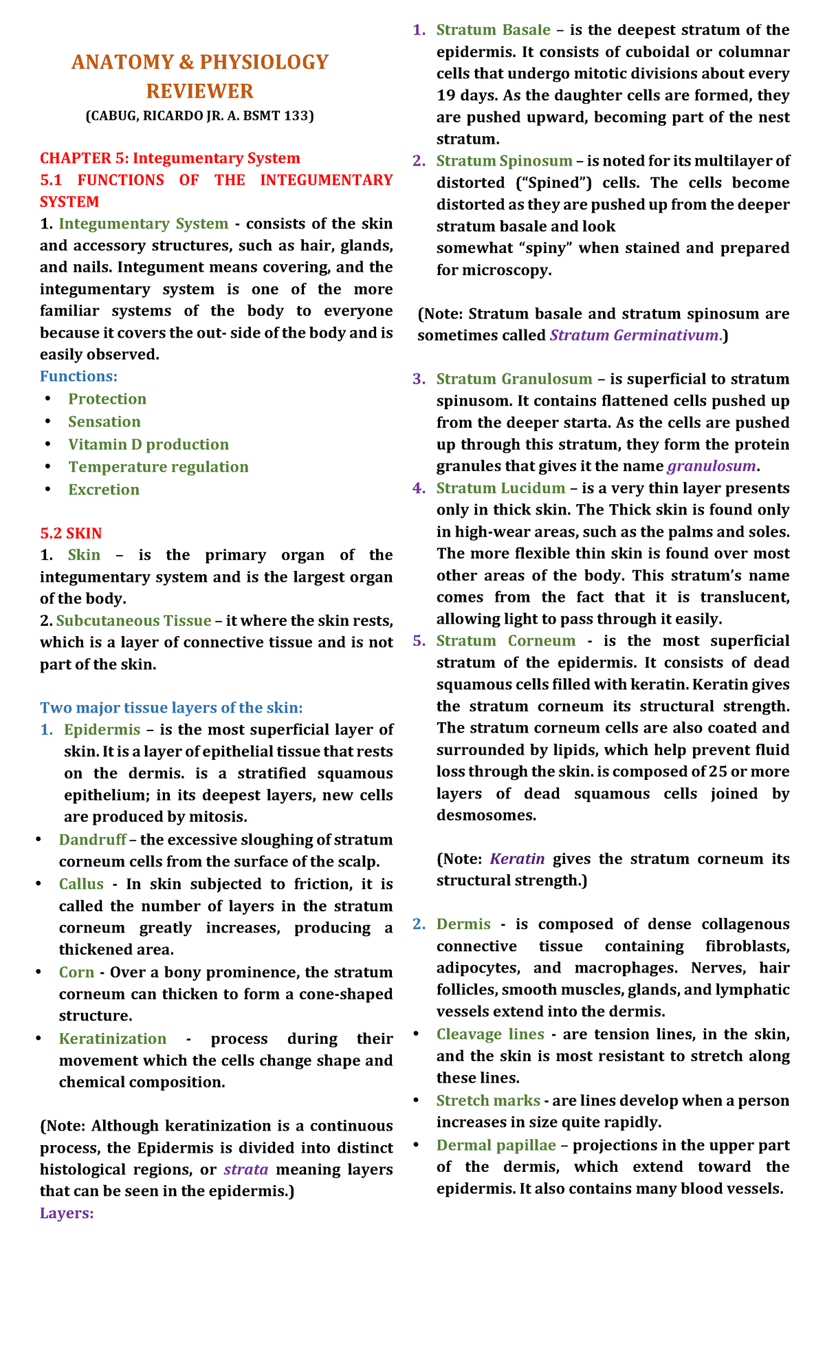 BSMT 133 - Anatomy & Physiology: Integumentary System Summary - Studocu