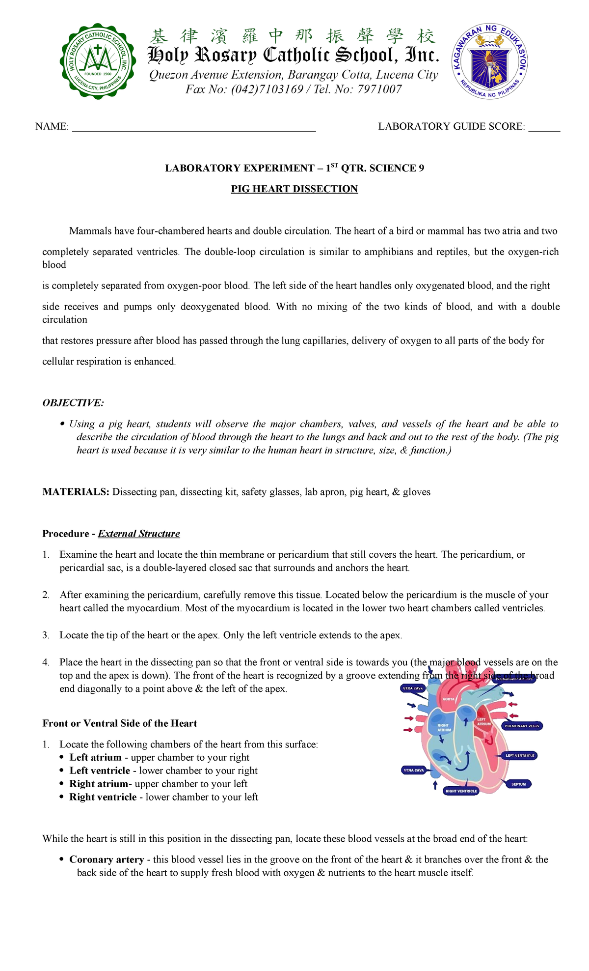 PIG Heart- Dissection - NAME ...