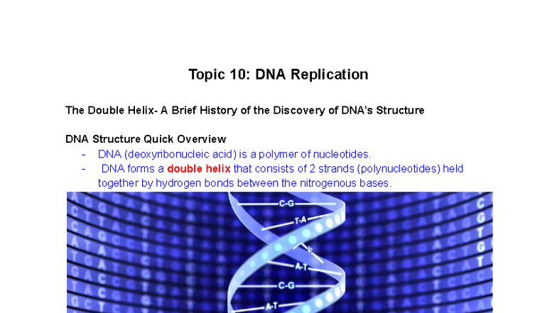 Topic 10: DNA Replication Overview and Key Concepts - Studocu
