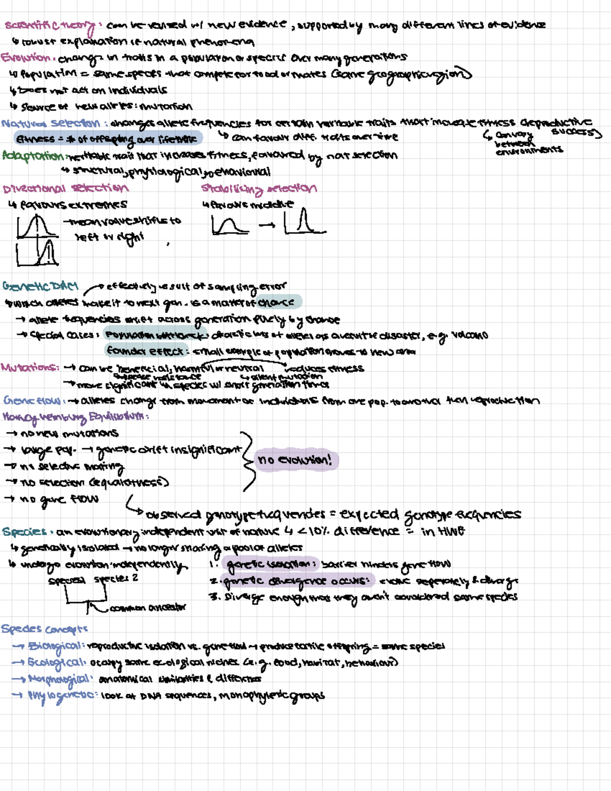BIOL121 Evolution Study Sheet: Key Concepts and Theories - Studocu