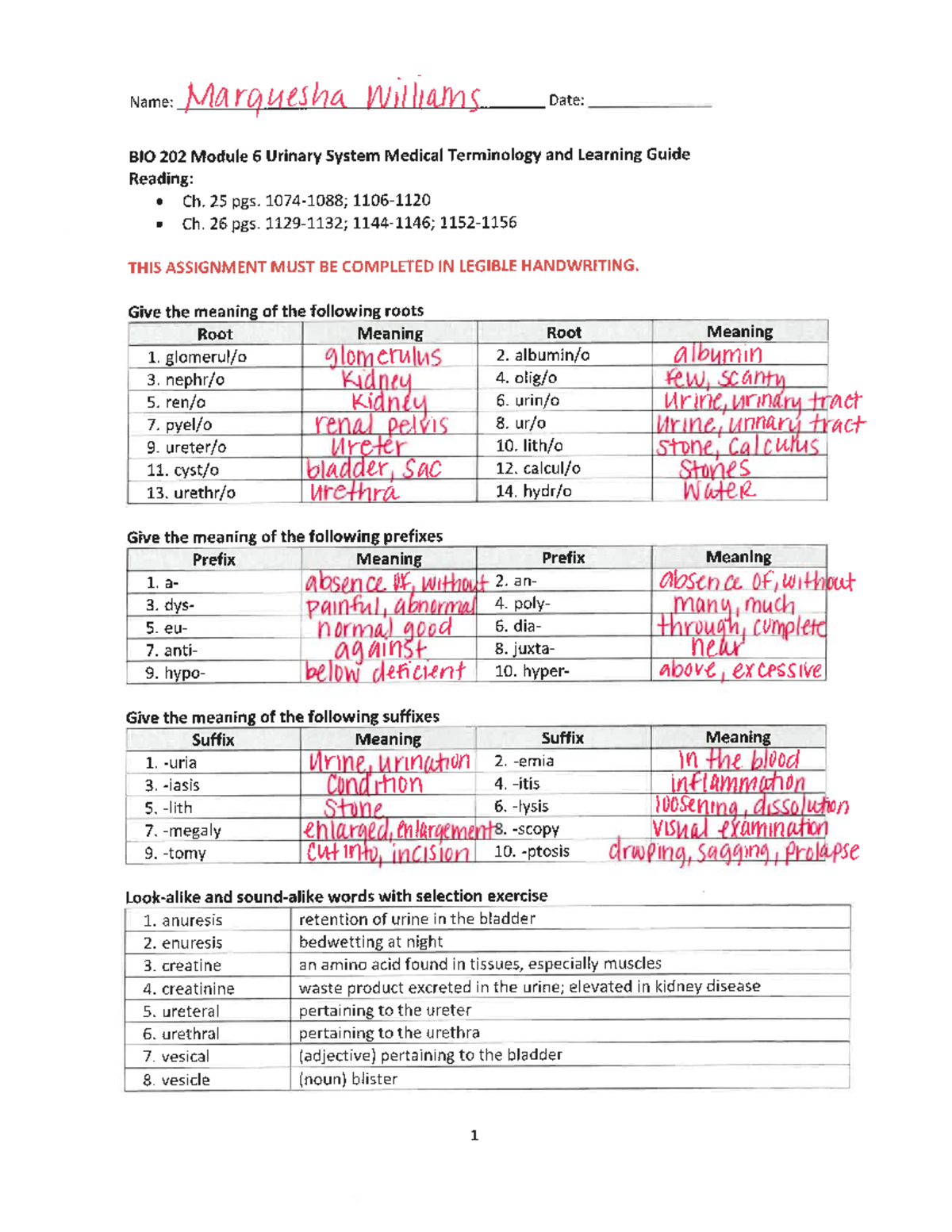 BIO 202 Module 6 Urinary System Medical Terminology Learning Guide ...