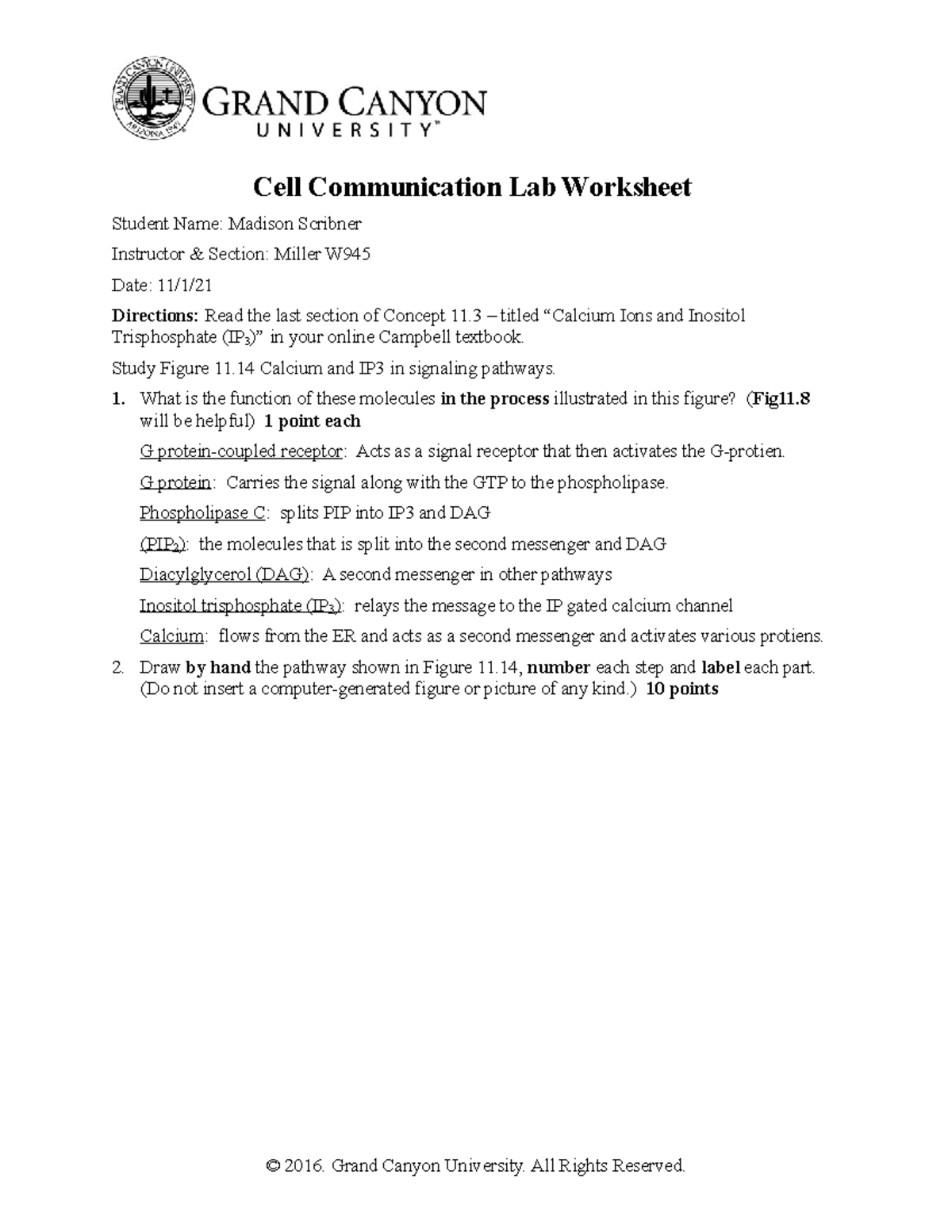 BIO-181L Cell Communication Worksheet - Cell Communication Lab ...