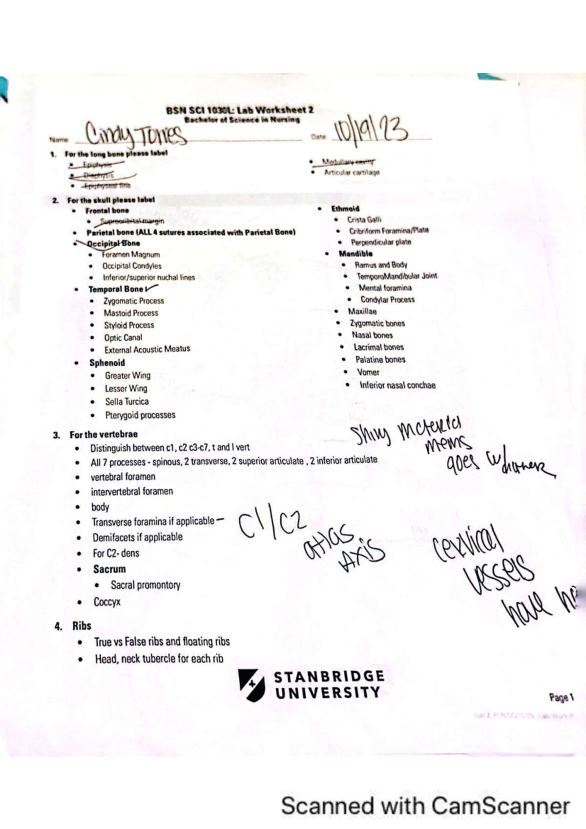 BSN SCI 1030L: Anatomy Lab Worksheet 2 - Bone Labeling Guide - Studocu