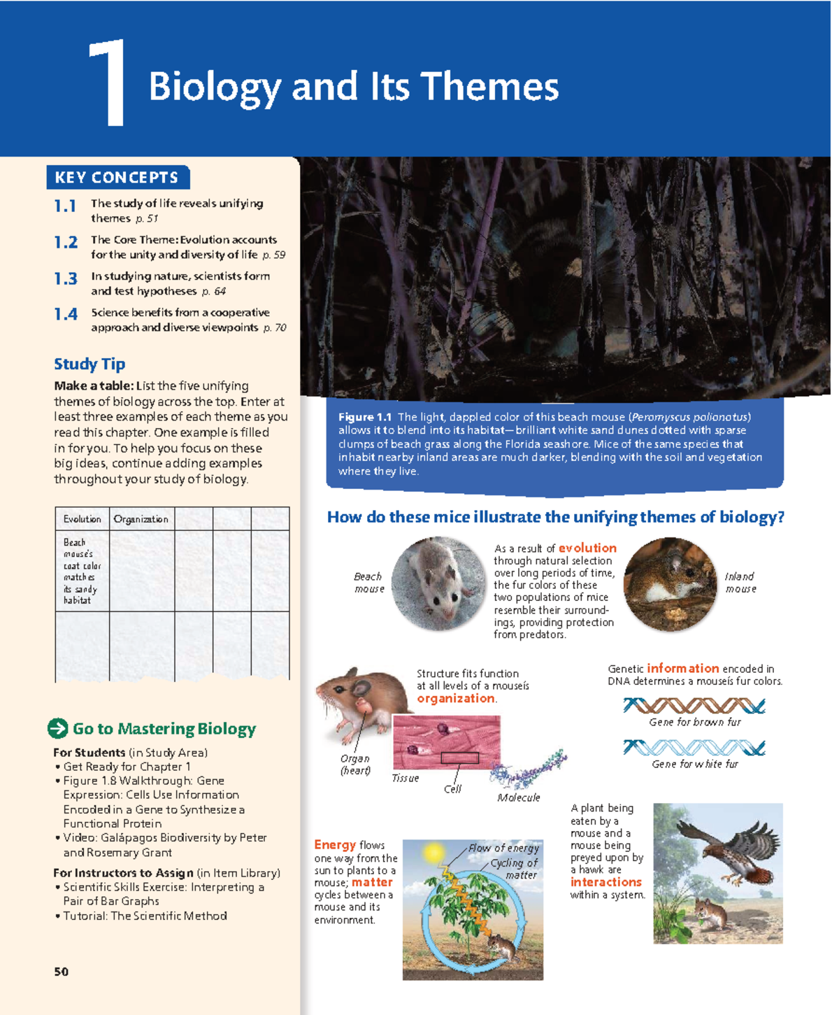 Biology 101: Key Concepts and Themes from Chapter 1 - Studocu