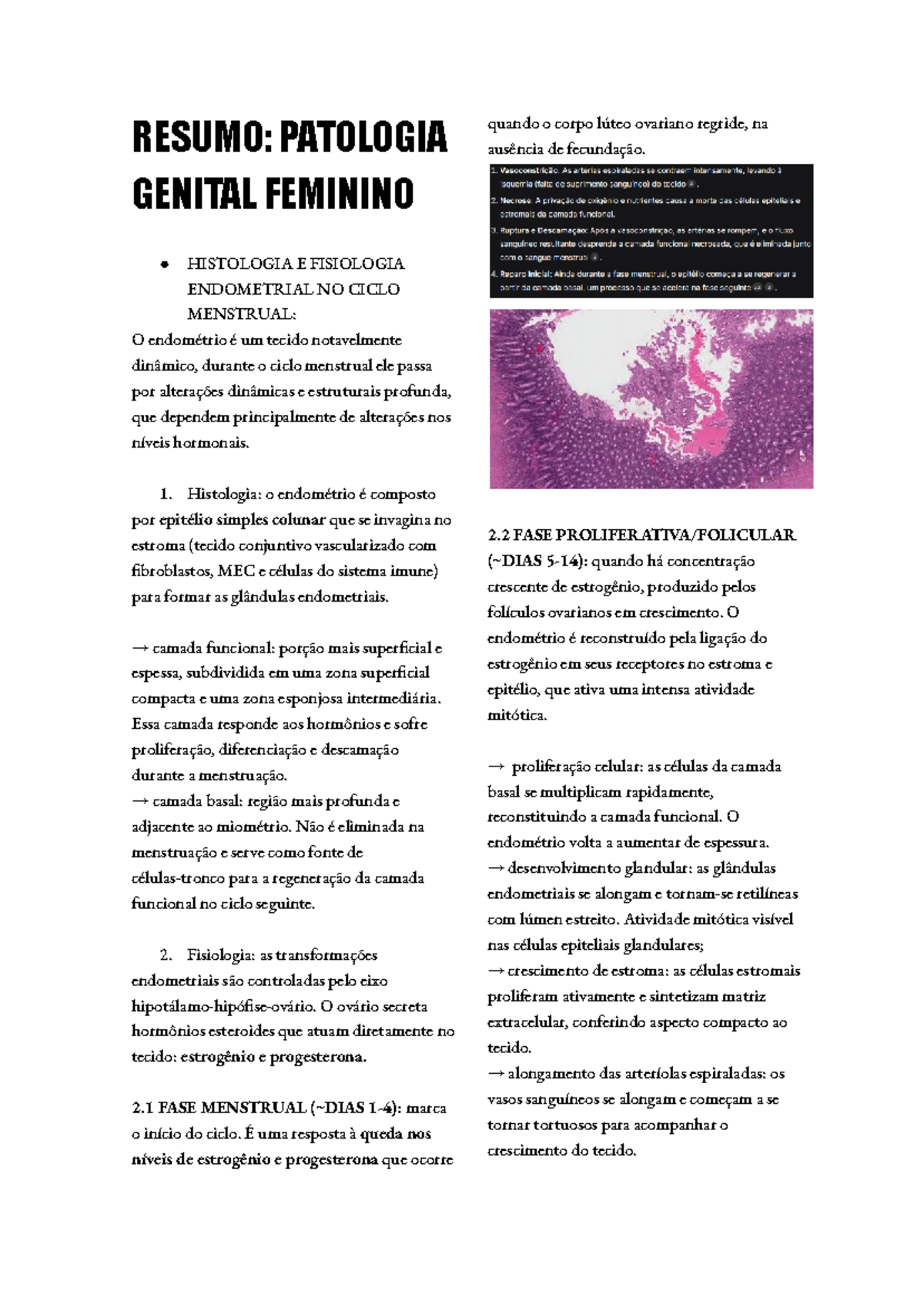 Resumo: Patologia Genital Feminina - Histologia e Fisiologia ...