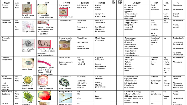 Parasitology Study Guide: Key Tables and Diagnostic Information - Studocu