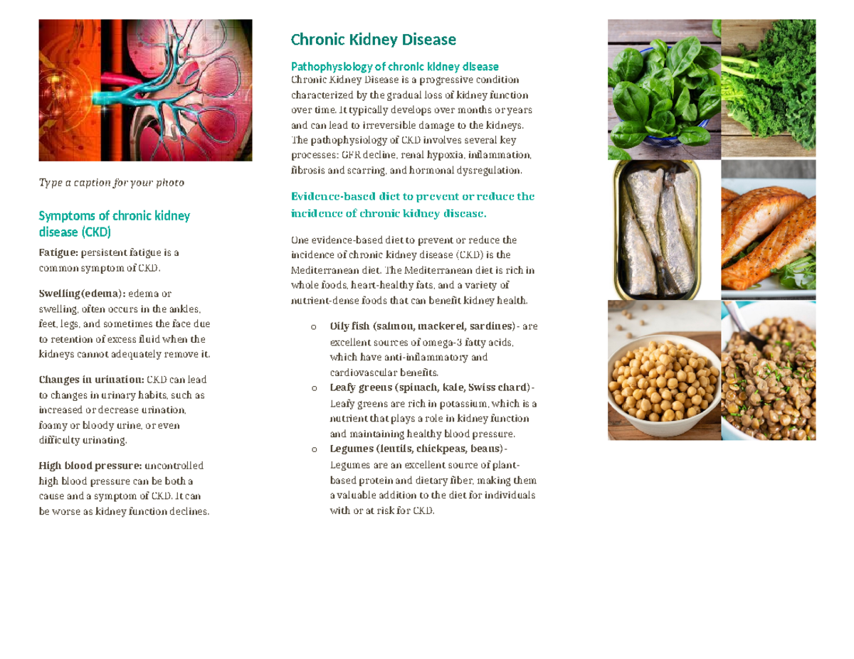 Chronic Kidney Disease (CKD) Awareness Brochure Assignment - Studocu