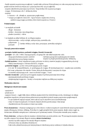 Stawy kończyny górnej - Staw mostkowo-obojczykowy Typ stawu: kulisty ...