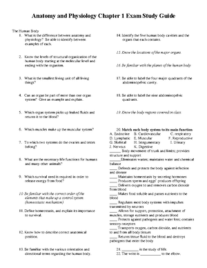 Muscle anatomy physiology review ws - MUSCLE ANATOMY REVIEW WORKSHEET ...