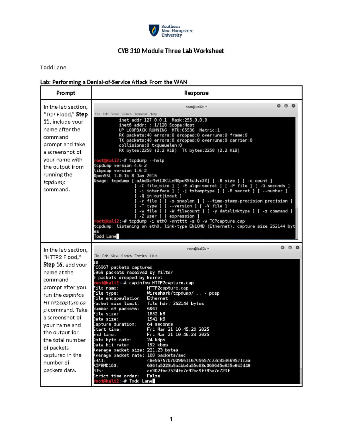CYB 310 Module Three Lab Todd Lane - CYB 310 Module Three Lab Worksheet Todd Lane Lab ...