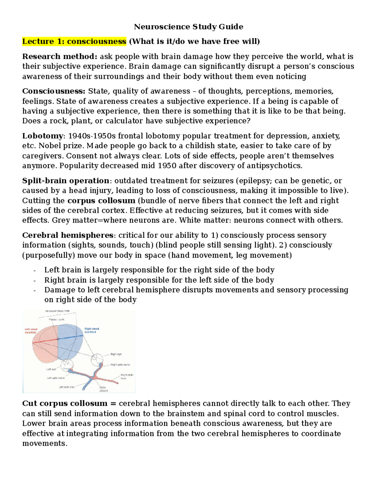 Neuroscience Study Guide: Lecture Insights on Consciousness and ...