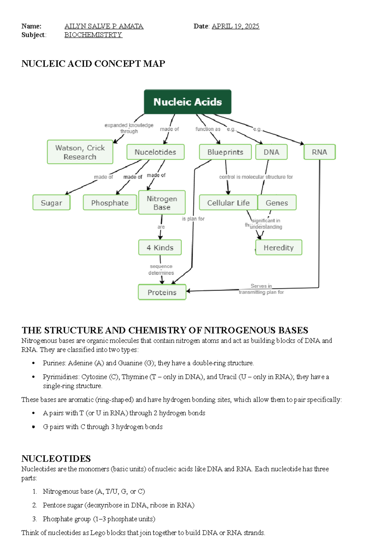 AILYN SALVE P. AMATA - AIL 101 - Nucleic Acid Concept Map - Studocu