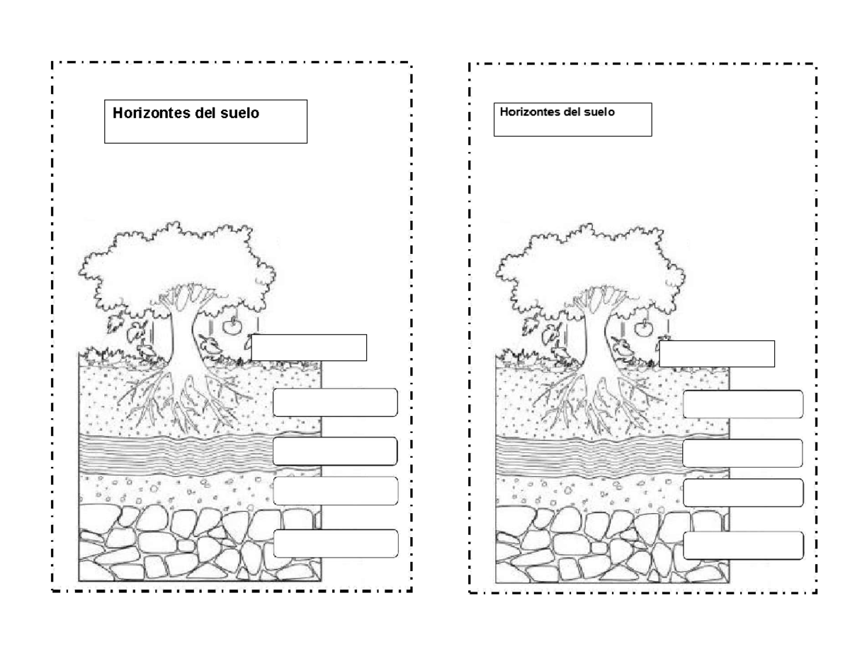 Horizontes del suelo para imprimir - Geografía Física de Chile ...